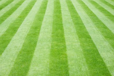 Precision Lawn Cutting Services for Neat, Healthy Lawns